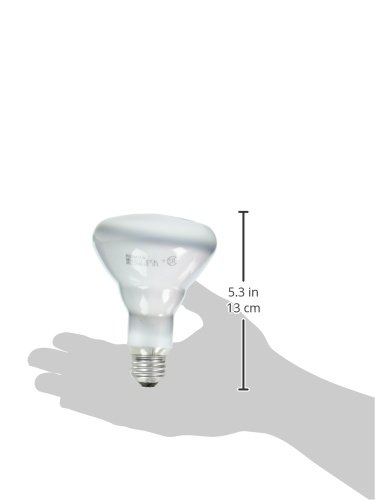 Sylvania Lighting BR30 65w 120-volt Indoor Flood Bulb, 6-Pack