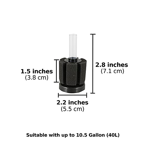 SunGrow 10-Gallon Betta Sponge Filter, Slow Current Fish Tank Filter, Perfect for Fry & Small Fish Aquarium