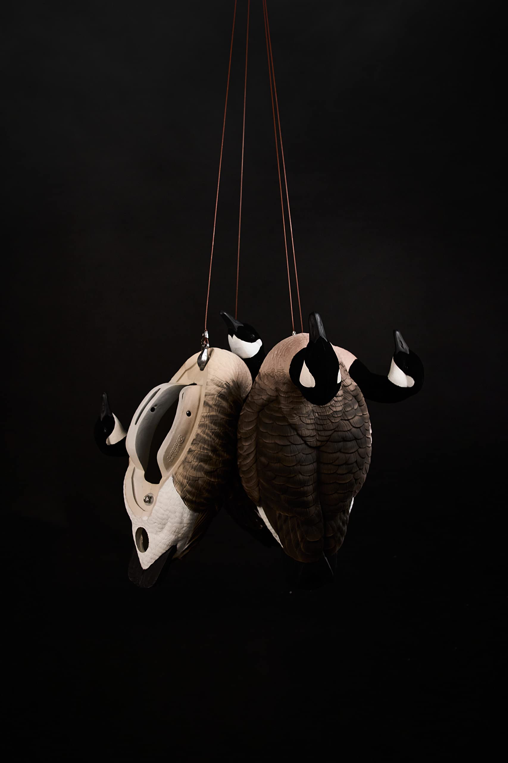 Ultralight 100% HydroFoam Canada Goose 4 Pack - Light as a Feather - Lasts Forever