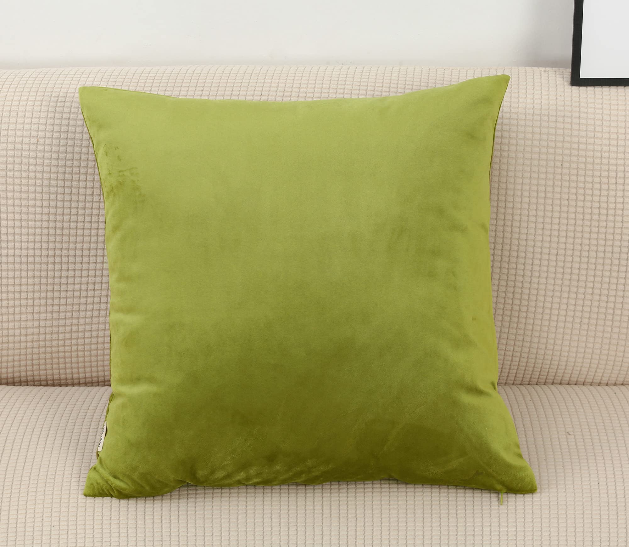 TangDepot Set of 2 Velvet Throw Pillow Covers, Super Soft, Euro Pillowcases - (24x24 Inch 2 Pieces, G01 Olive Green)