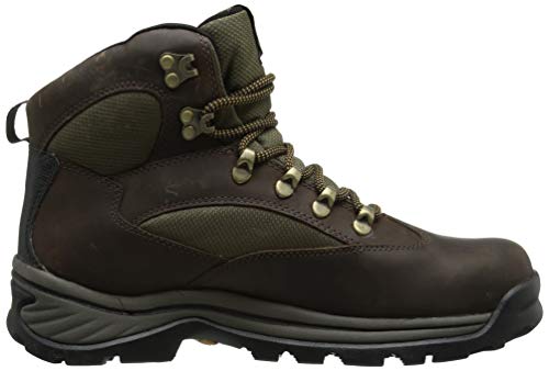 Timberland Men's Chocorua Trail Mid Waterproof, Brown/Green, 13 D - Medium