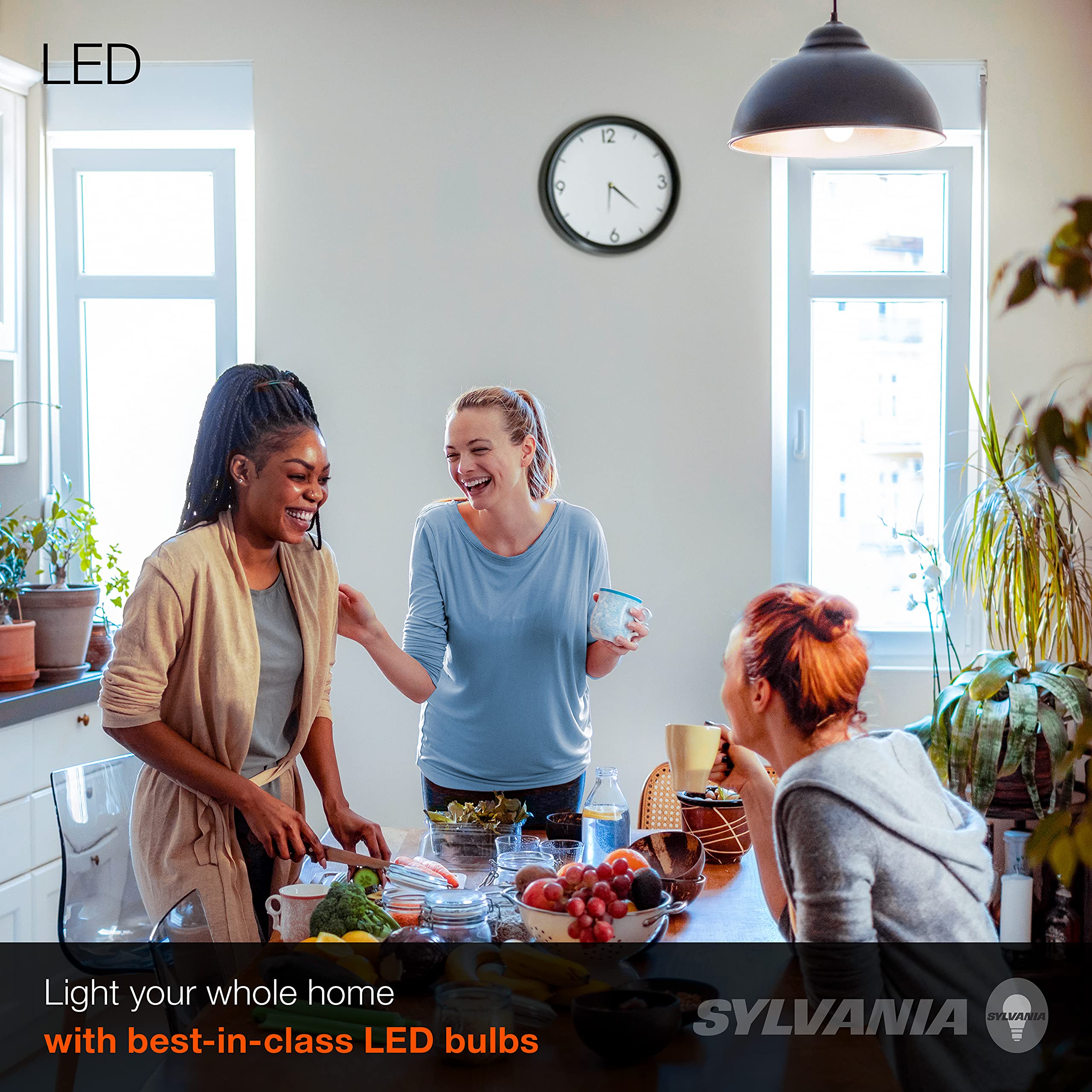 SYLVANIA LED Light Bulb, 100W Equivalent A19, Efficient 14W, Medium Base, Frosted Finish, 1500 Lumens, Daylight - 1 Pack (79294)