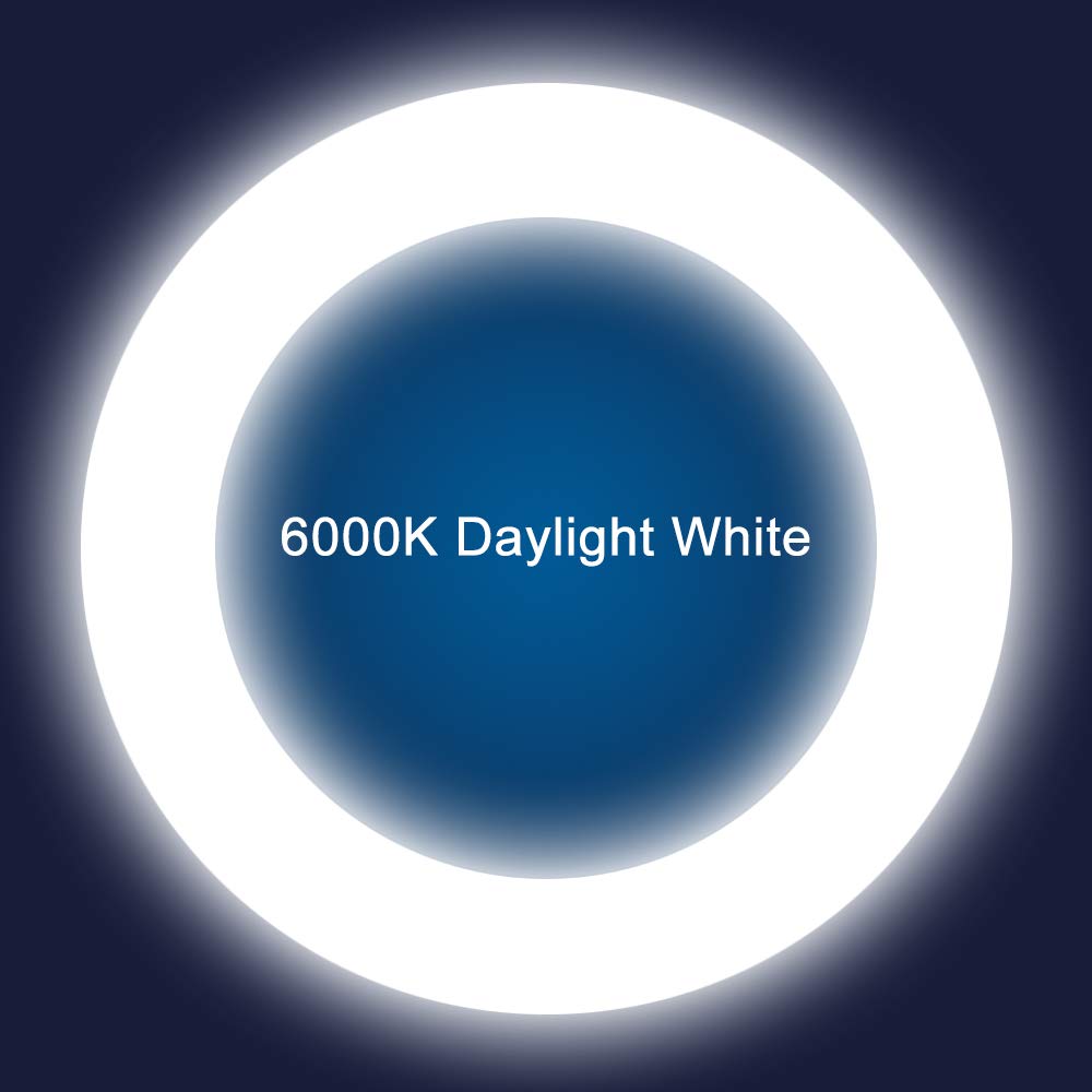 T9 LED Circline Light Bulb, 8 Inch 1600LM LED Circular Light, 13W Clear Cover 6000K Daylight Replacement for FC8T9/CW 22-Watt Fluorescent Circular Bulb(FC8T9/CW), Ballast Bypass Required