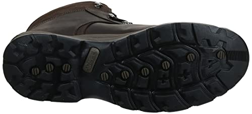 Timberland mens Flume Mid Waterproof Hiking Boot, Dark Brown, 8.5 US