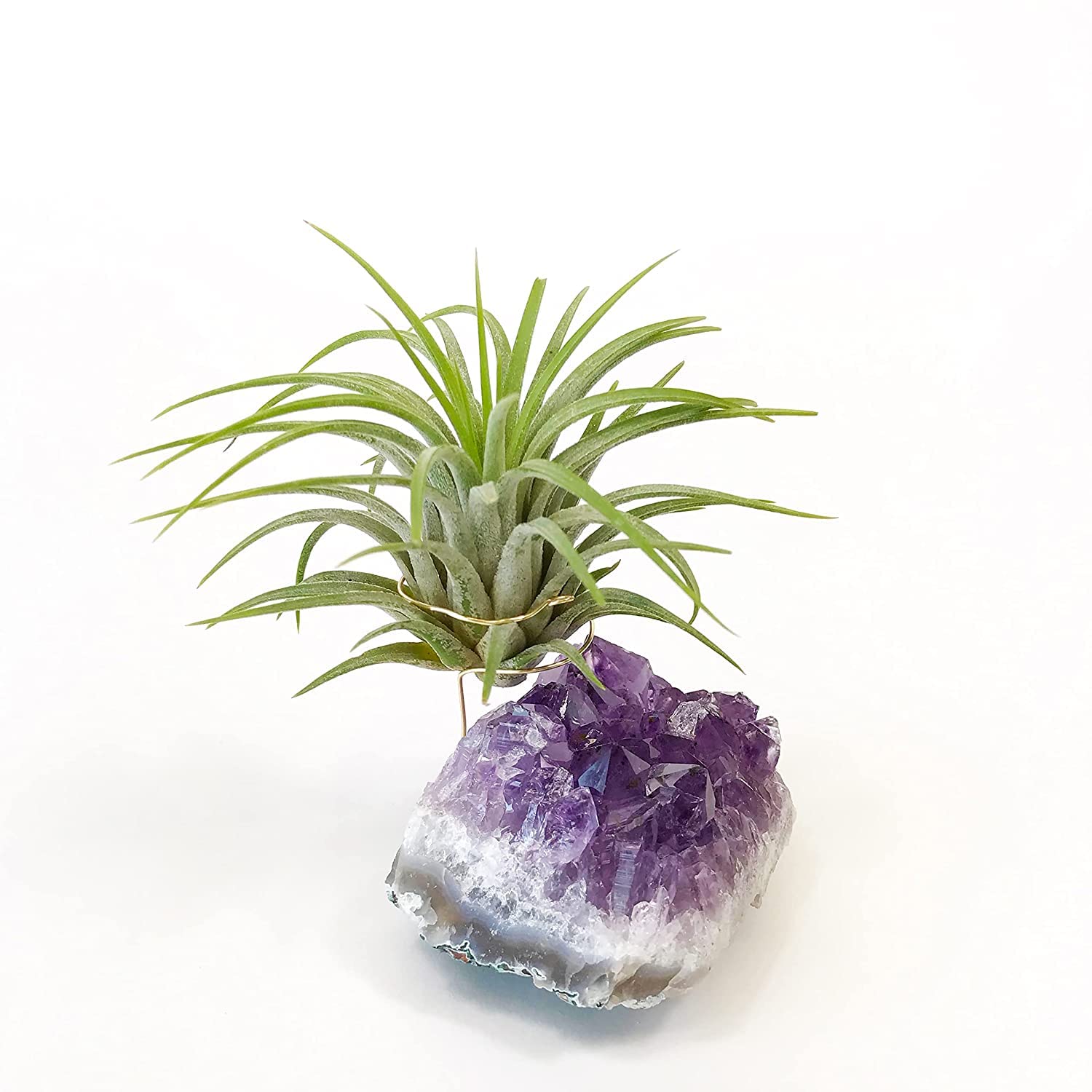 Small Amethyst Crystal Air Plant Holder Includes live Air Plant and Happy Birthday Gift Box