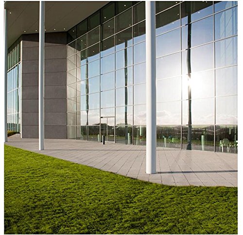 Window Film One Way Mirror Static Heat Control Day Time Privacy Window Tint (23.6'' x 78.7'', Silver)