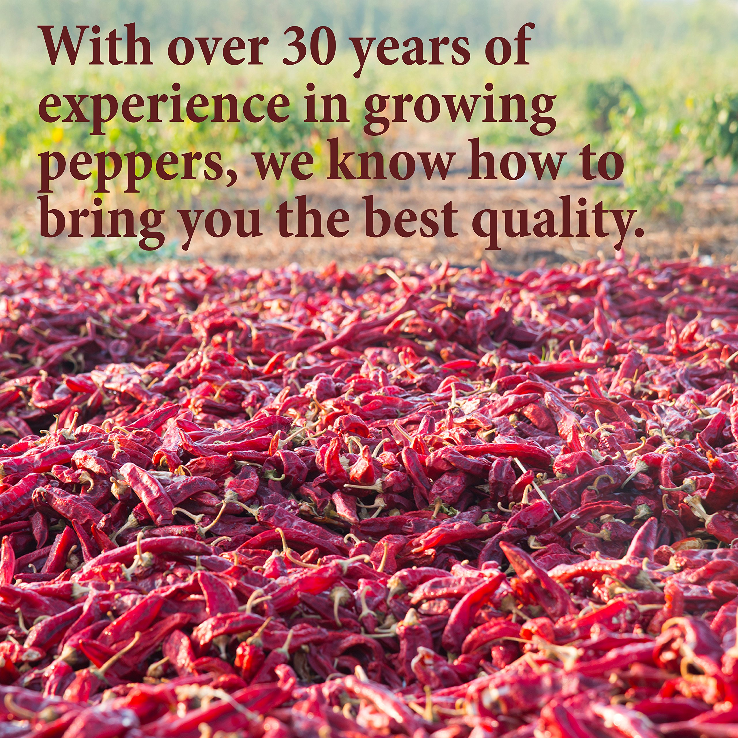 The Spice Way - Premium Aleppo Pepper |4 oz.| Crushed Aleppo Pepper Flakes (Halaby Pepper/Pul Biber/Marash Chili Flakes) Popular in Turkish and Middle Eastern/Mediterranean cooking