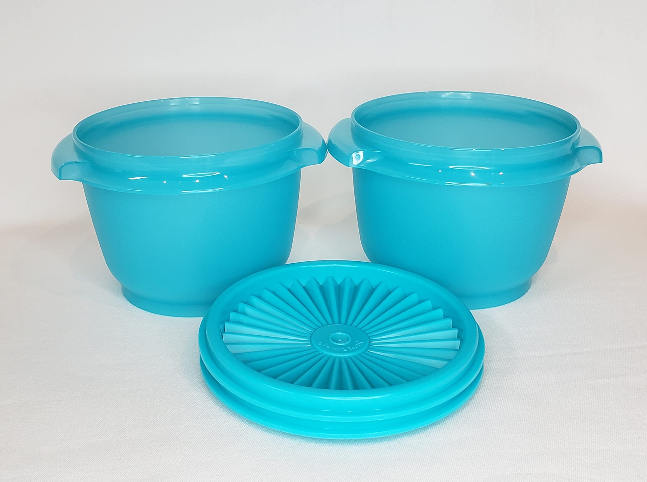 Tupperware New 20 Ounce Servalier Bowls (Set of 2)