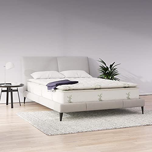 Signature Sleep 13" Hybrid Coil Mattress, Queen, White