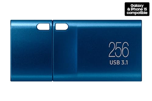 Samsung Type-C™ USB Flash Drive, 256GB, Transfers 4GB Files in 11 Secs w/Up to 400MB/s 3.13 Read Speeds, Compatible w/USB 3.0/2.0, Waterproof, 2022, Blue, MUF-256DA/AM