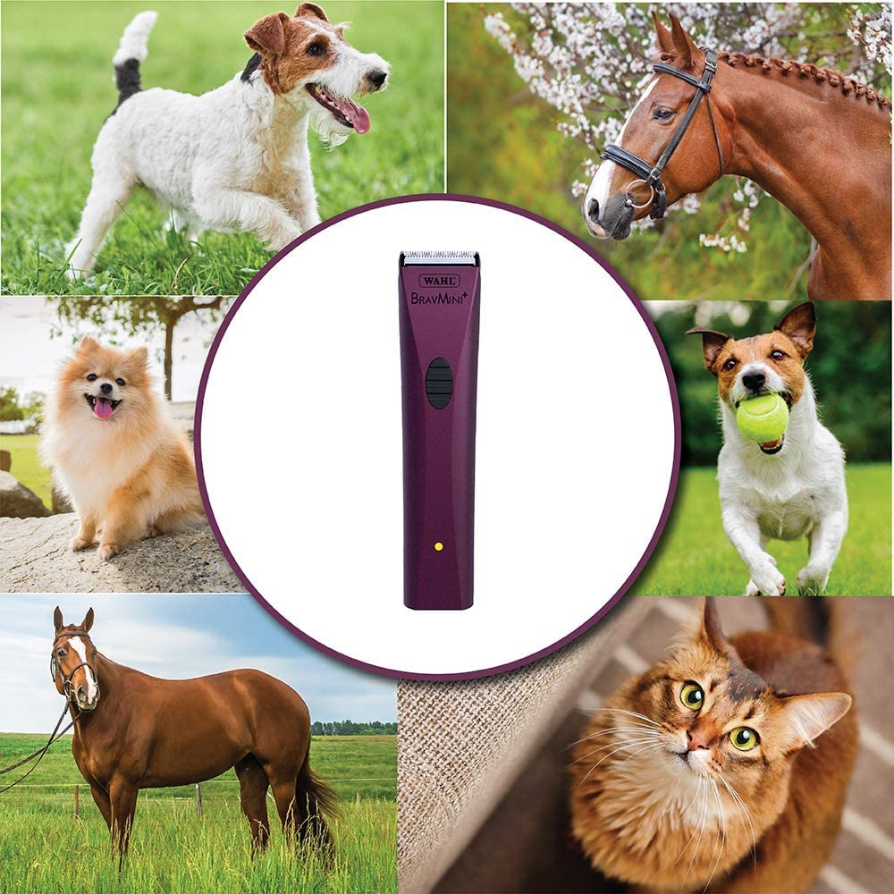 Wahl Professional Animal Bravmini+ Pet, Dog, Cat, & Horse Cordless Trimmer Kit - Purple