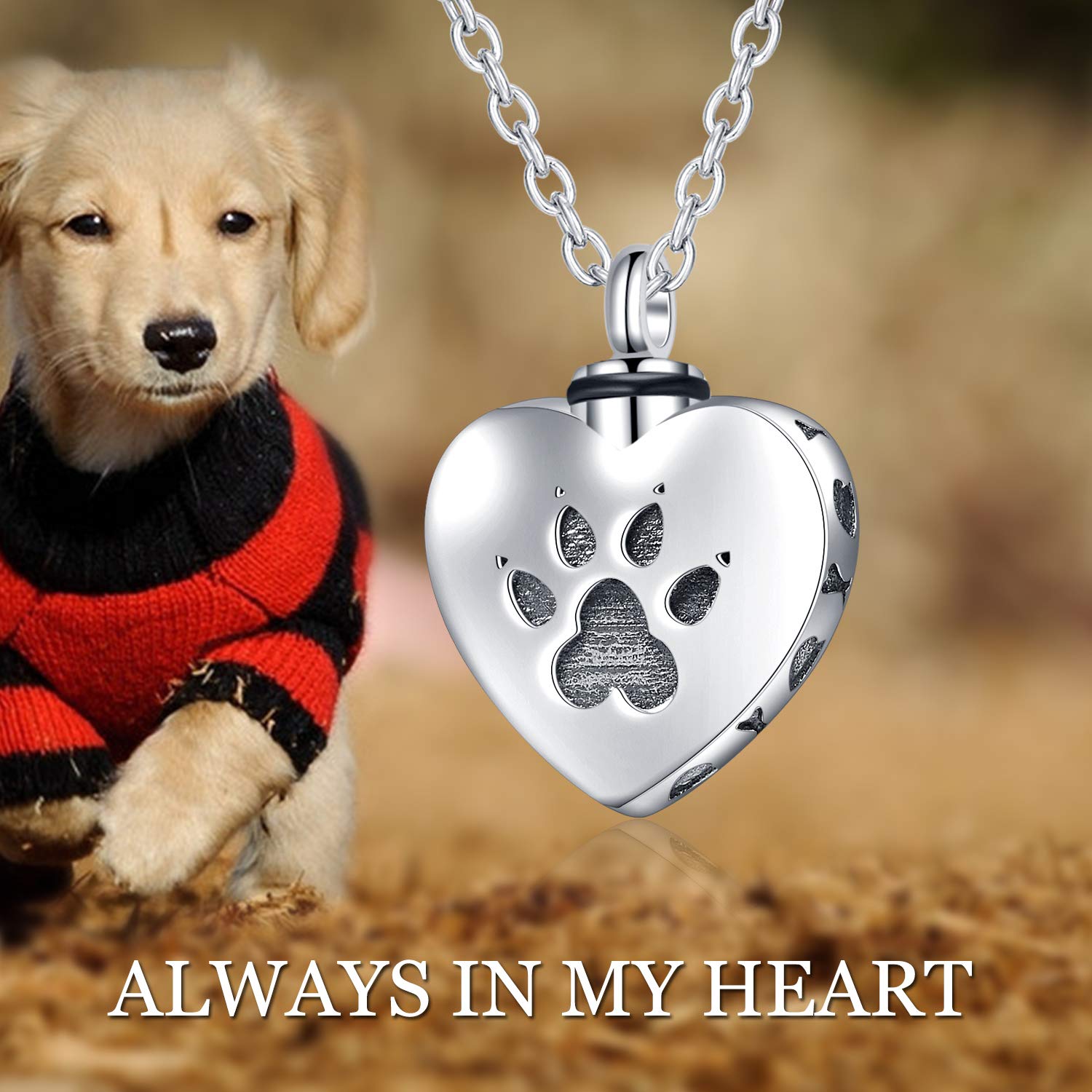 WINNICACA Cremation Jewelry Pet Urn Keepsake Necklace Sterling Silver Heart Urn Necklaces for Ashes for Dog Cat Paw w/Funnel Filler Kit