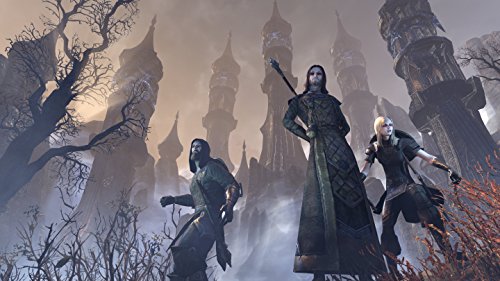 The Elder Scrolls Online - PlayStation 4 Imperial Edition