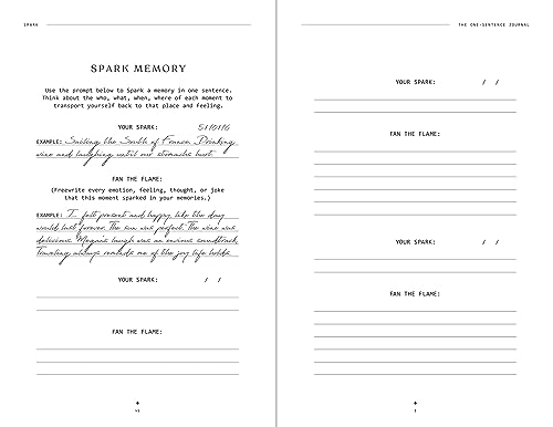 Spark: The One-Sentence Journal