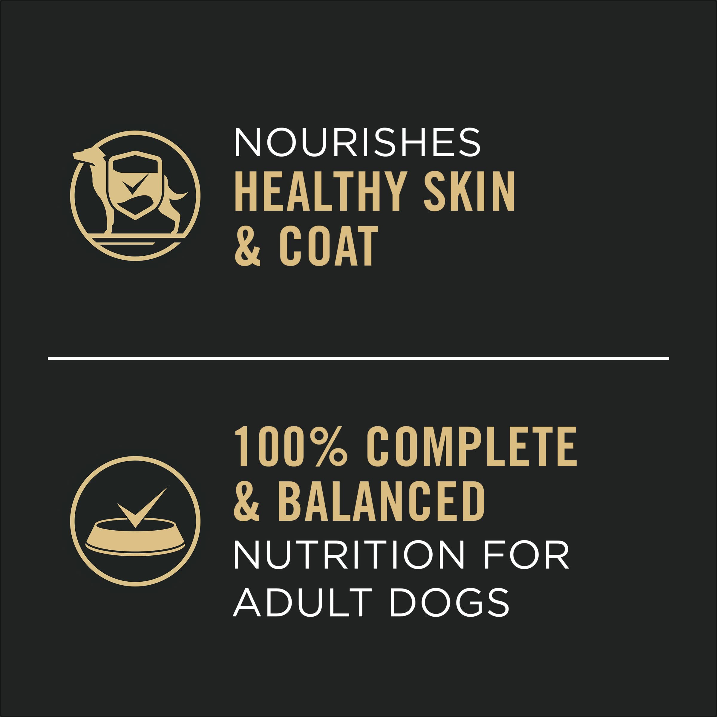Pro Plan High Protein Wet Dog Food - Chicken & Vegetable Entrée - (12) 13oz Cans