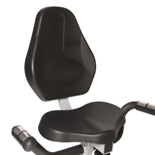 Velocity Exercise Dual Motion Recumbent Bike, White