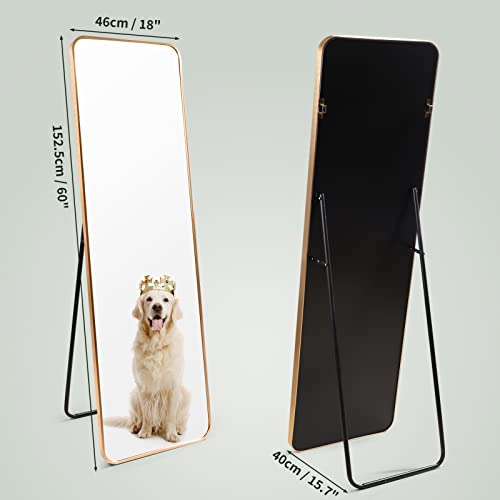 WIFTREY Full Length Mirror 65x24 Floor Standing, Wall Mounted, Leaning, Decorative Bedroom Living Room Standup Wall Full Body Long Hanging Large Size Tall White Frame Mirror