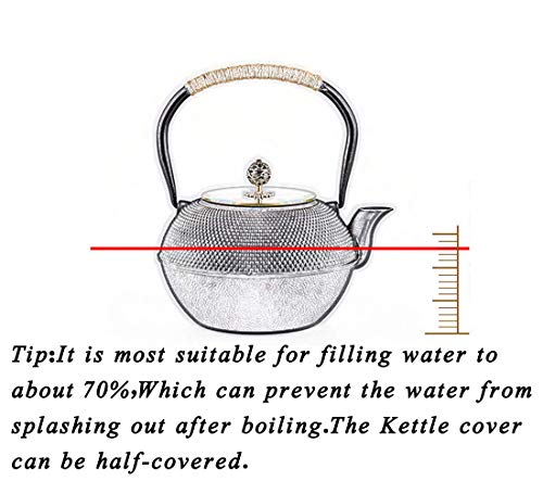 tetsubin Cast iron tea kettle japanese workshop teapot hobnail pattern with Stainless Steel Infuser【20 oz black】