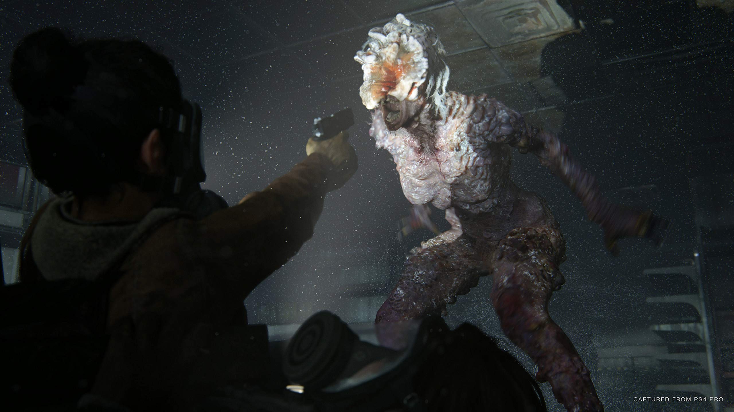 The Last Of Us Part II - PlayStation 4