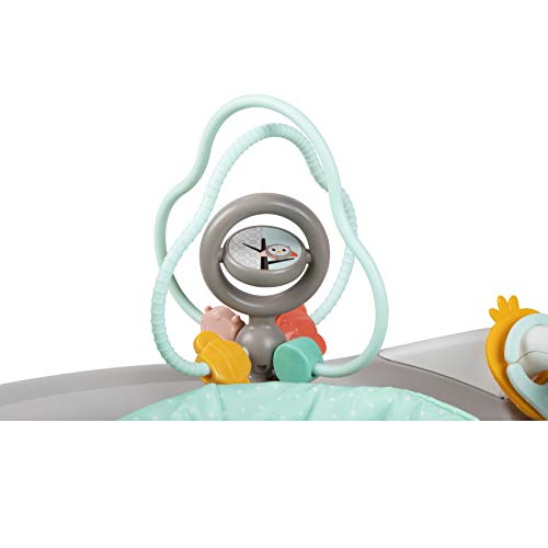 Tiny Love 4-in-1 Here I Grow Mobile Activity Center, Tiny Princess Tales