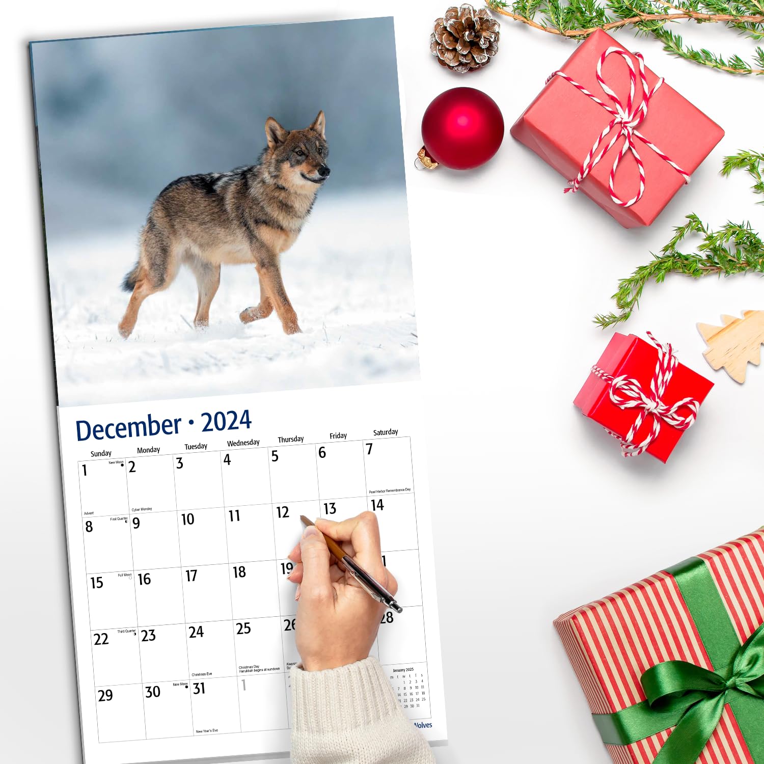 Wolves 2024 Hangable Monthly Wall Calendar by Red Ember Select Series | 12" x 24" Open | Thick & Sturdy Paper | Giftable | Animals | The World's Most Beautiful Wolves