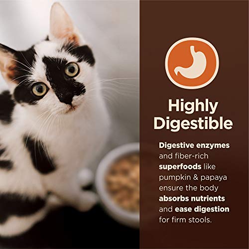 Wellness CORE Digestive Health Wholesome Grains Probiotic Coated High Protein Dry Cat Food, Chicken & Rice Dry Cat Food, 11 Pound Bag