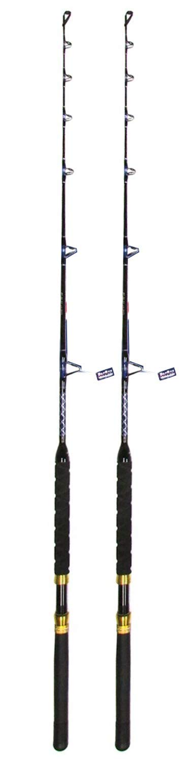 Xcaliber Marine Pair of (2) Inshore Series 6' 20-40 lb Saltwater Boat RODS (Blue and Silver)