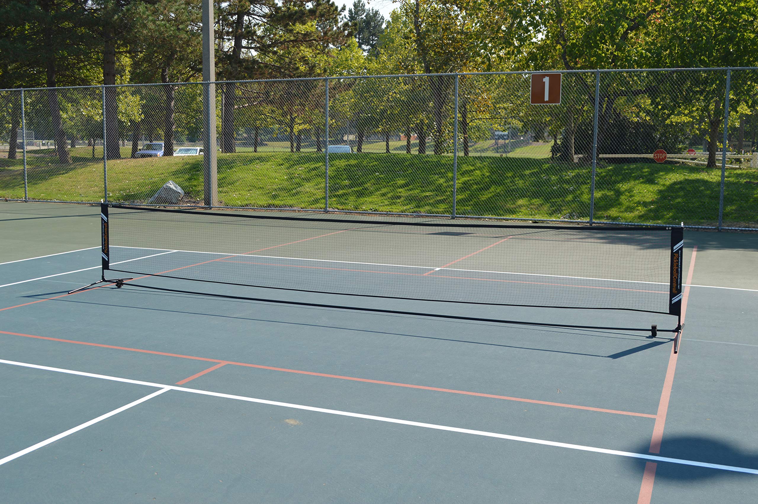 Rally Meister Complete Beginner Pickleball Set with Portable Pickleball Net (Net + 4 Paddles + 4 Pickleballs + Drawstring Bag + Rules/Strategy Guide + Line Chalk)