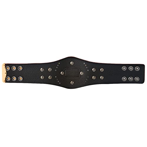 WWE Authentic Wear NXT North American Championship Mini Replica Title Belt Multi