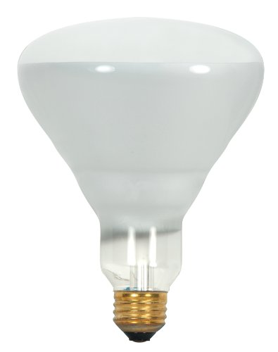 Satco S8521 130-Volt 65-Watt BR40 Medium Base Light Bulb, Frosted,