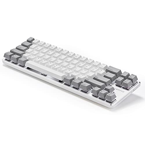Qisan Mechanical Keyboard Gaming Keyboard Gateron Blue Switch Wired/Wireless Bluetooth Keyboard 68-Keys Mini Design(60%) PBT Keycap White/Gray Color for Gaming/Office Magicforce