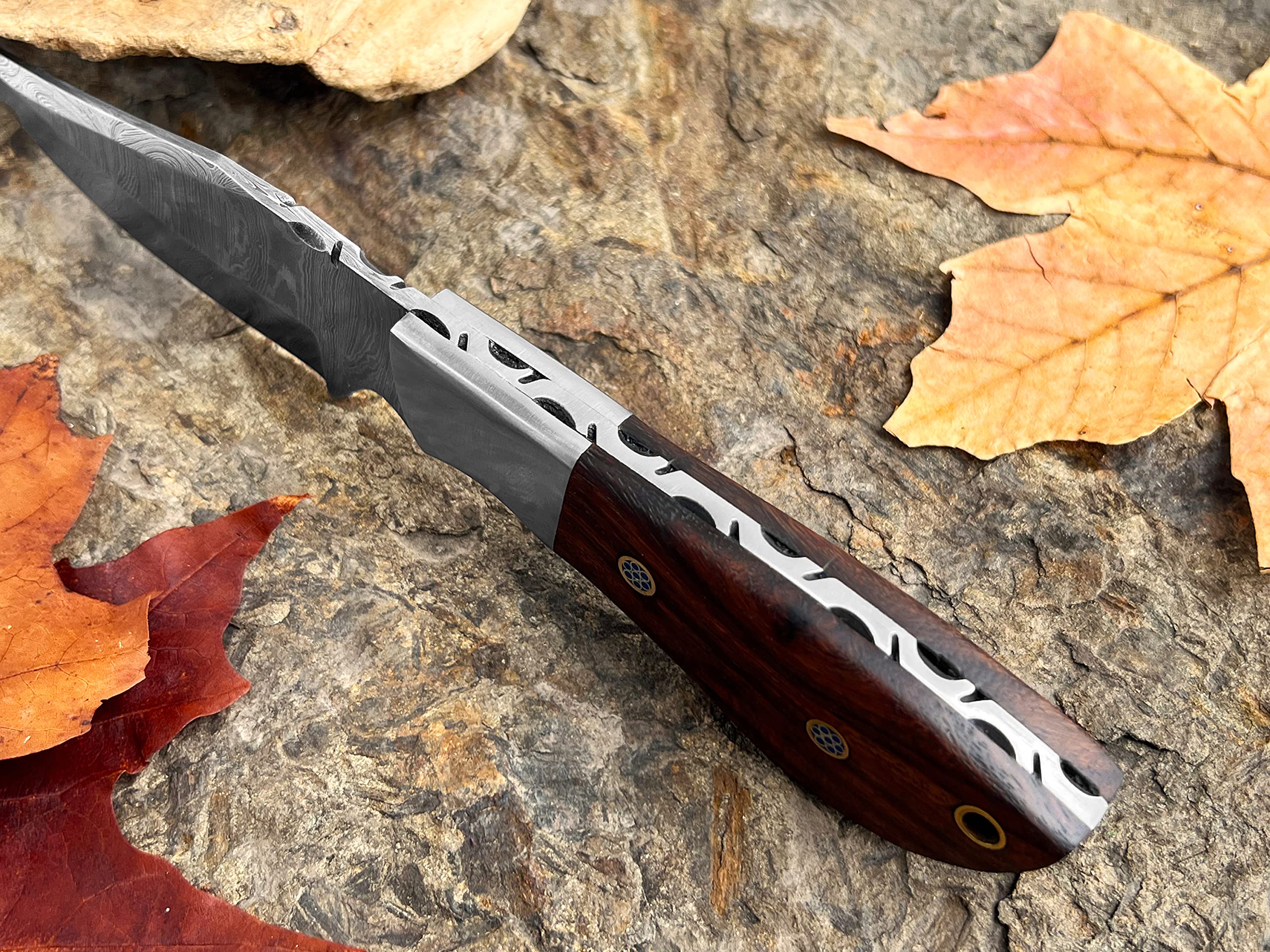 WINTERFELL Personalized Fixed Blade Damascus Hunting Knife with Sheath, Engraved Custom Gifts For Hunter, Customized Gift For Husband, Dad, Son, Unique Father's Day Gift (Brown)