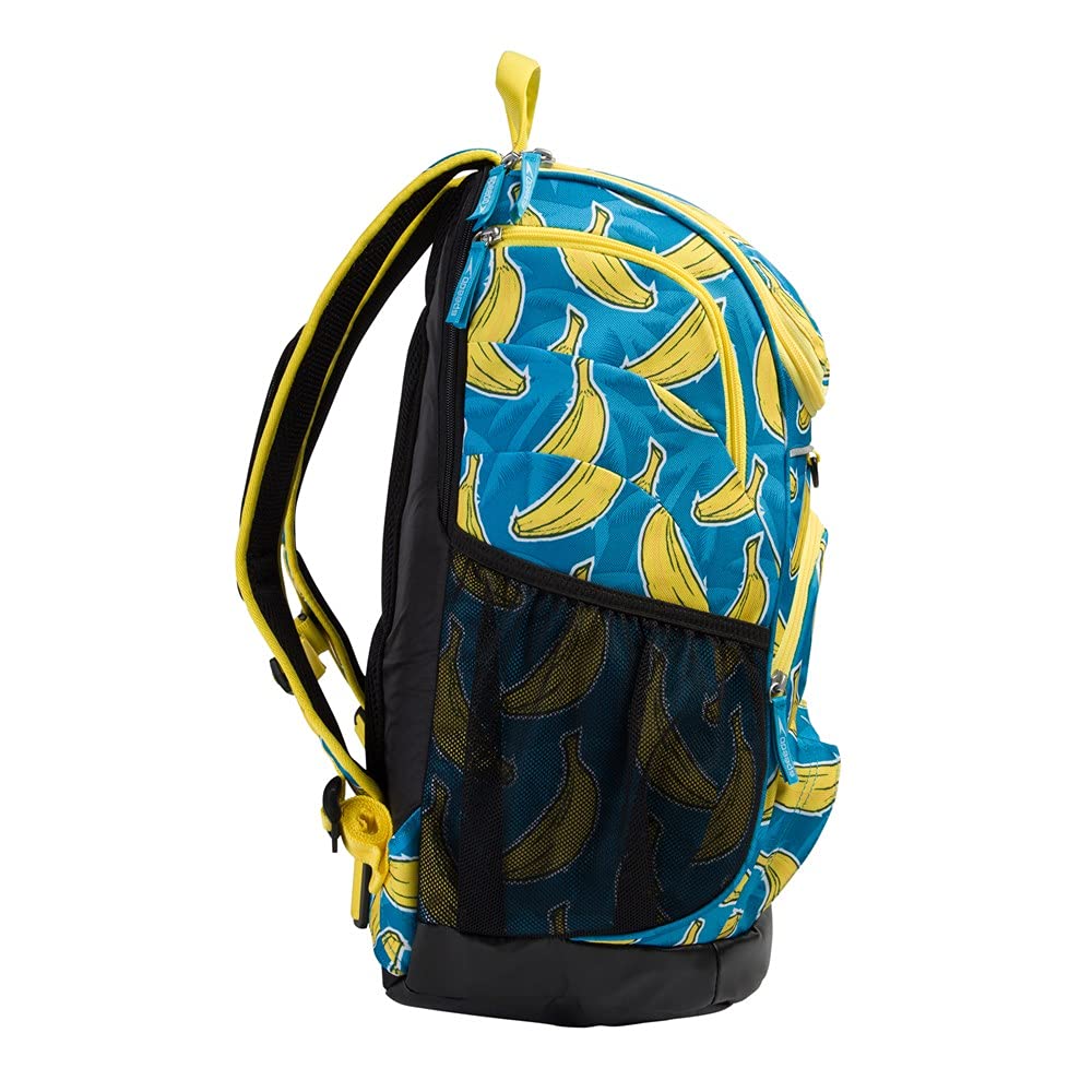 Speedo Teamster Backpack, Black/Blue/Yellow Print, One Size