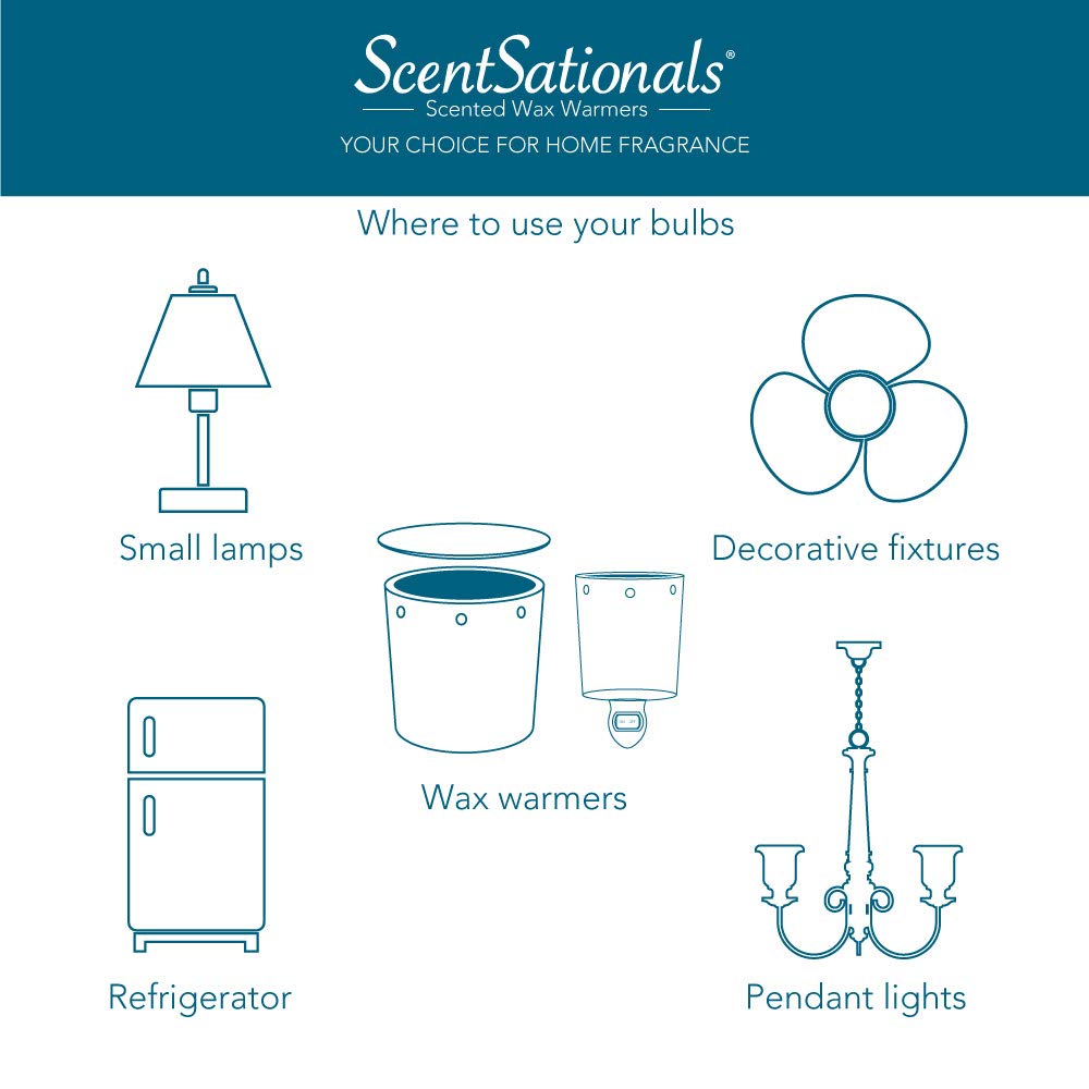 ScentSationals 25 Watt Wax Warmer Light Bulb - 25 Watt Light Bulbs for Wax Warmers, Wax Warmer Light Bulb Replacement - Style G50 Bulbs for Full Size Wax Warmers - Pack of 2 Wax Warmer Bulbs, Clear