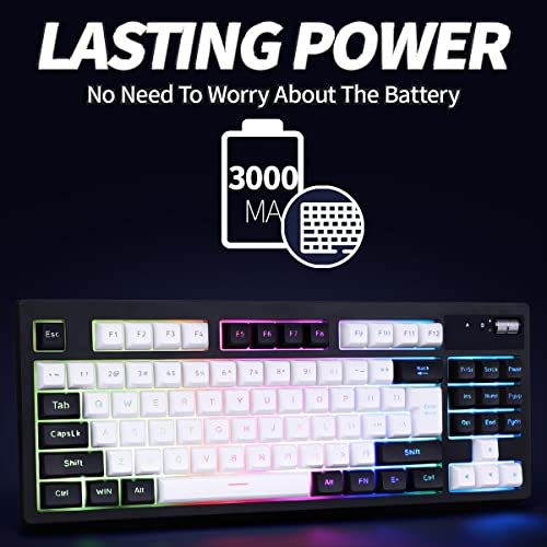 ZJFKSDYX C87 Wireless Gaming Keyboard and Mouse Combo, LED Backlit Rechargeable Mechanical Feeling Keyboard and Ergonomic Mouse for PC, Gaming Console (W/B)