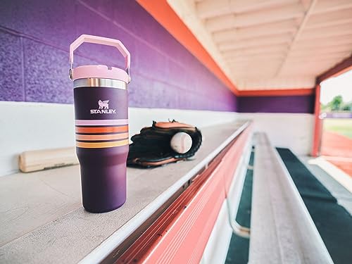 Stanley IceFlow Stainless Steel Tumbler - Vacuum Insulated Water Bottle for Home, Office or Car Reusable Cup with Straw Leak Resistant Flip Cold for 12 Hours or Iced for 2 Days, Plum Stripe, 30OZ