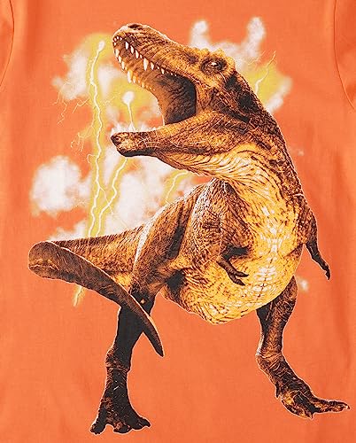 The Childrens Place Boys Long Sleeve Graphic T-Shirts, Dino Lightning, Small