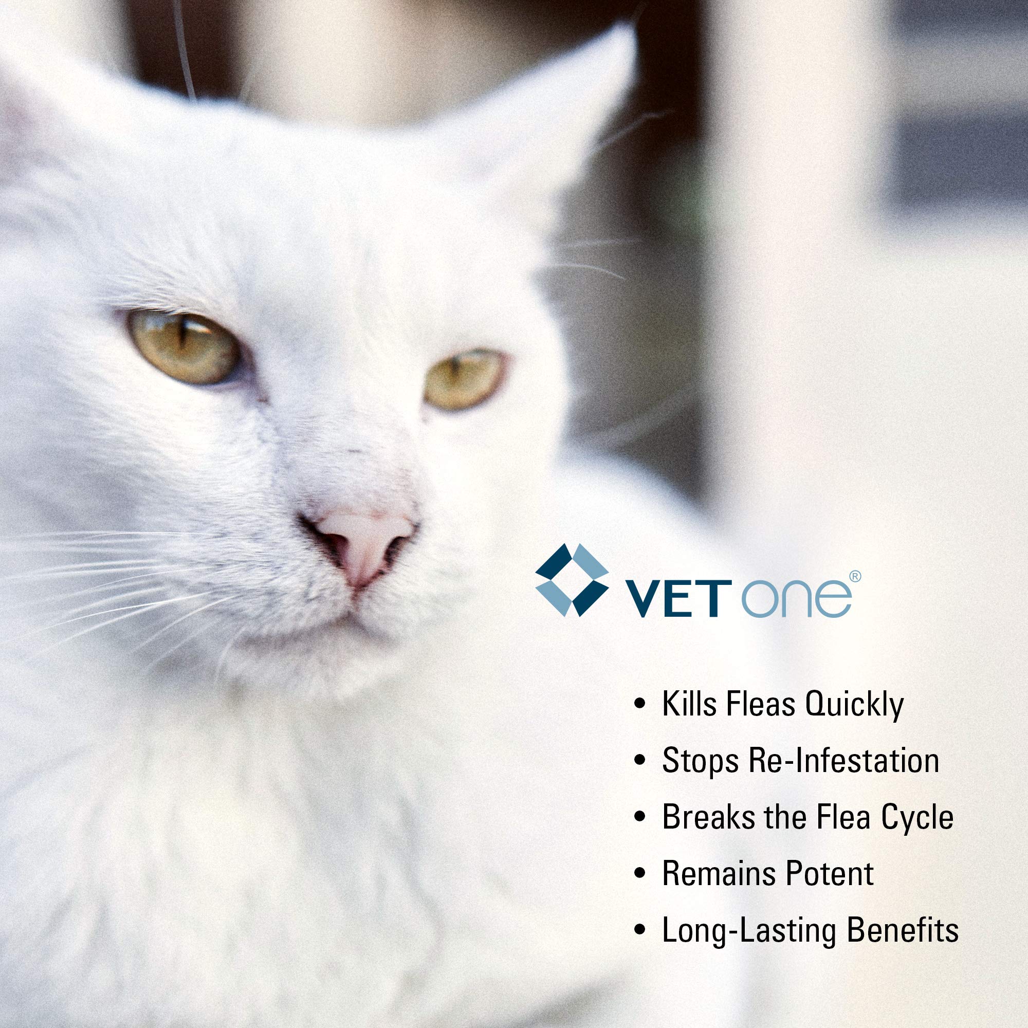 VetOne - CrossBlock II™ Kills & Prevents Fleas on Cats (Over 8 Weeks Old) | Waterproof to Last Long | Ensures 3 Months of Protection (9lbs+)