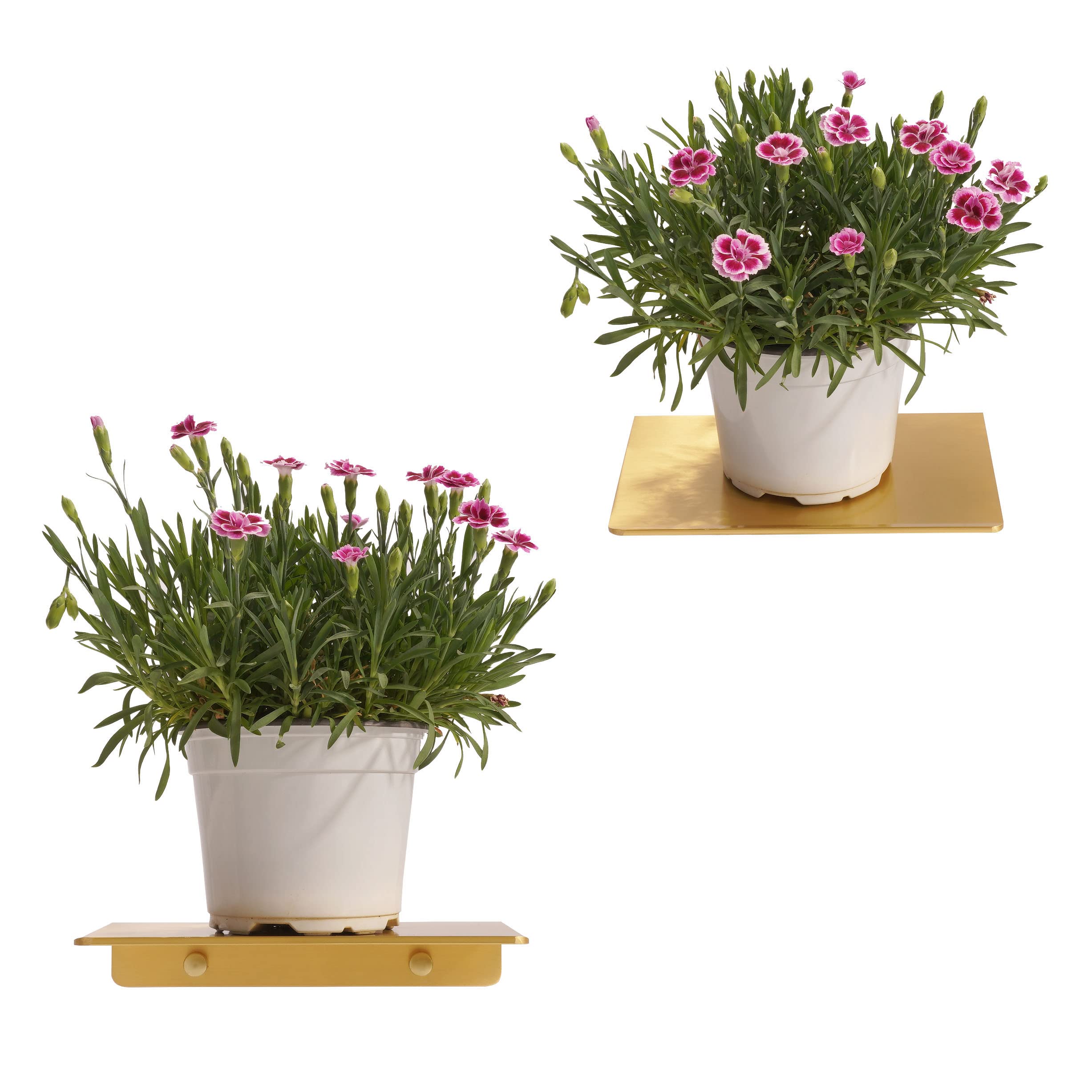 Veefos Small Gold Floating Shelves for Wall Decor 7.7 Inch, 2 Sets Bathroom Shelves Organizer Wall Mount, Sturdy Metal Wall Shelf for Plants Cell Phone Speakers Cameras Living Room Office