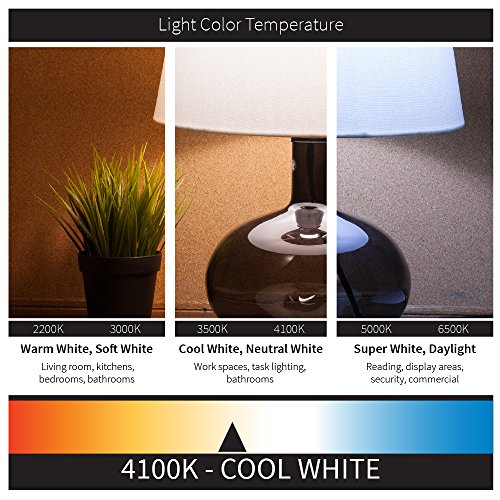 Sunlite FT36DL/841 Compact Fluorescent 36W Twin Tube Light Bulbs, 4100K Cool White Light, 2G11 Base