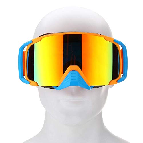 ZYL-YL Motorcycle Racing Anti Fog Goggles Dual Lens Outdooors Snowboard Ski Snowboard Dumb Frame Motorcycle Accessories Tool Assembly