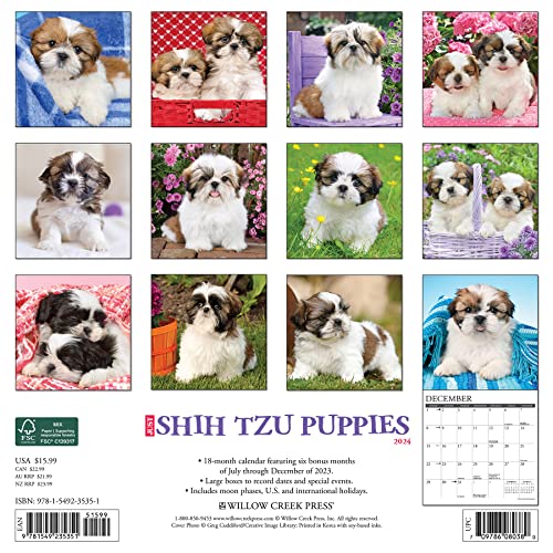 Willow Creek Press Shih Tzu Puppies Monthly 2024 Wall Calendar (12" x 12")