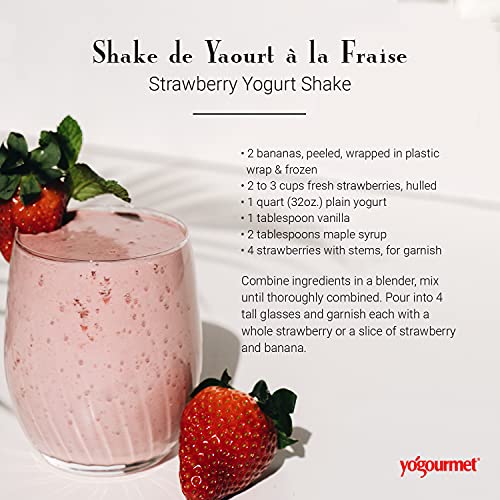 Yogourmet Yogurt Starter (16 Pack) - Make Yogurt at Home - Starter Culture - All Natural, Gluten Free, Kosher, Halal - 3 g Sachets