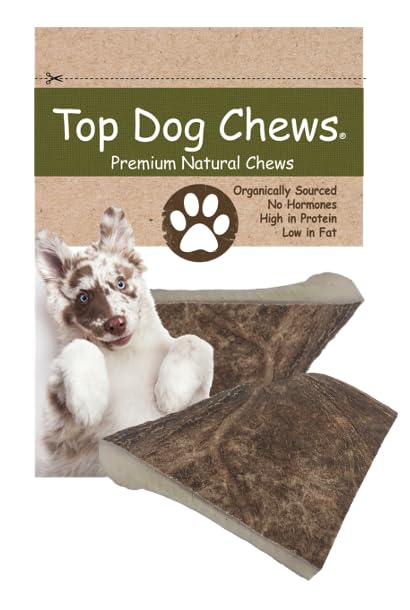 Top Dog Chews – Moose Antler, Premium, Grade A, Moose Antler for Large, Medium or Small Dogs, Natural, Long Lasting Dog Chew for Aggressive Chewers, 1 Pack
