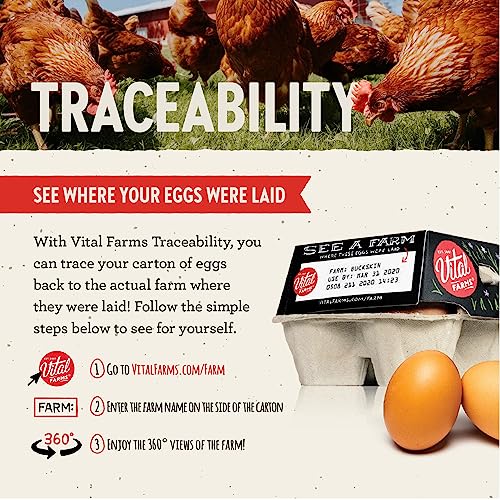 Vital Farms Organic Pasture Raised Eggs Large Brown, 12 Count