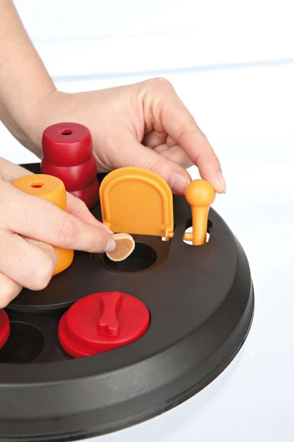 Strategie Spiel Flip Board for Dogs