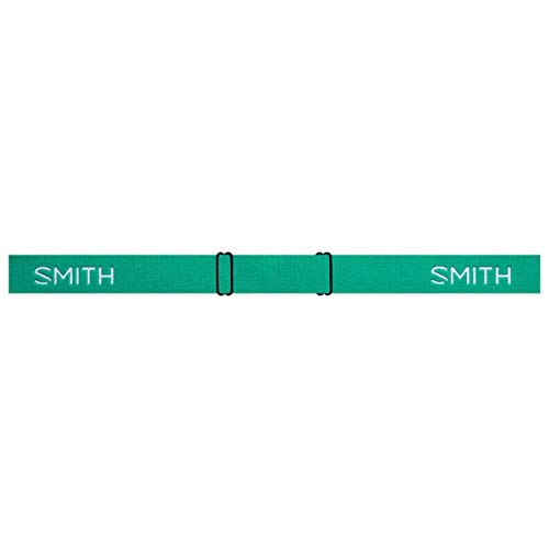 SMITH Optics Project Adult Snow Goggles (JADE, Blue Sensor Mirror)