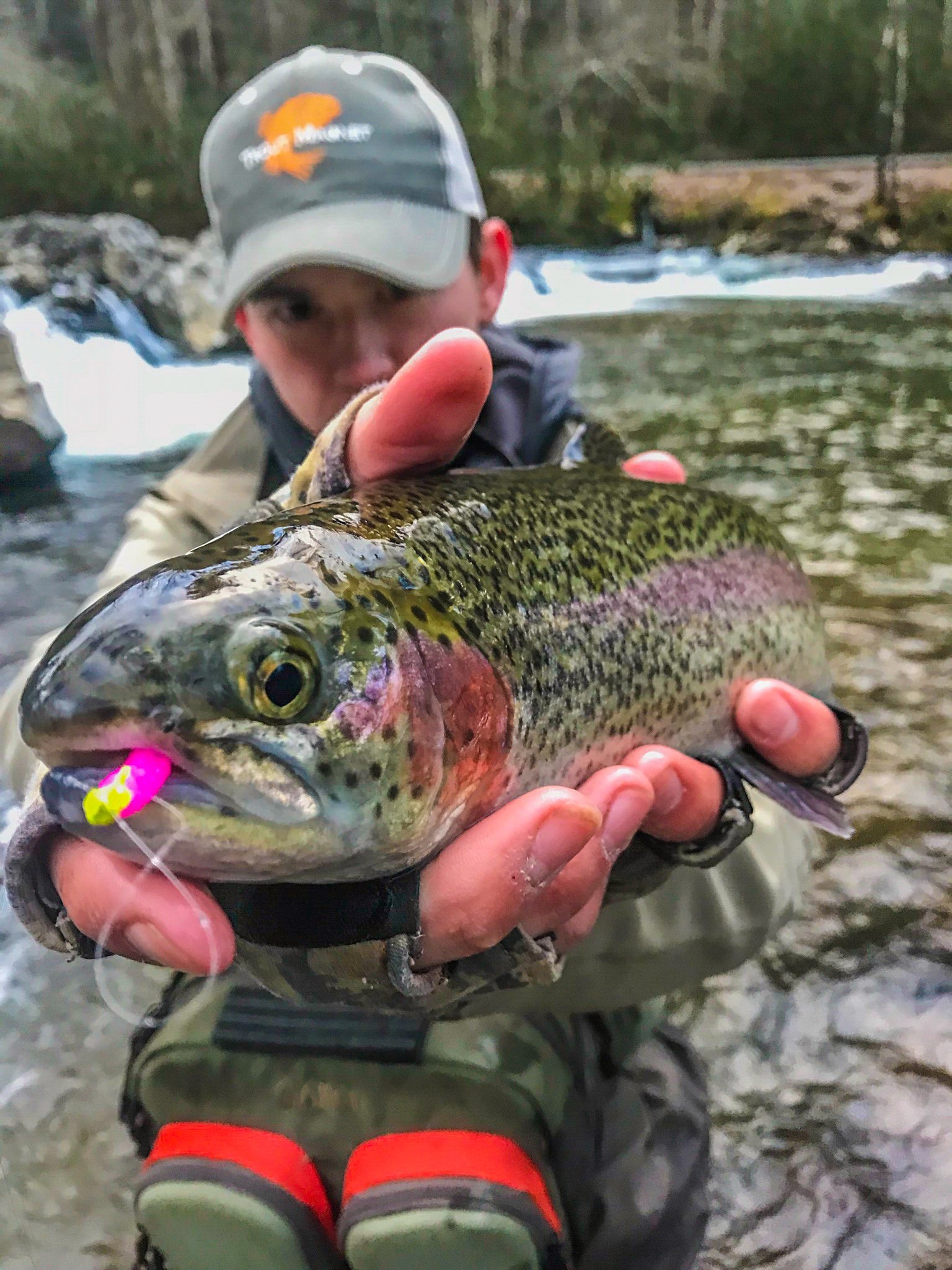 Trout Magnet Phantom 100% Fluorocarbon Fishing Leader Line, 50M (2lb, 3lb, 4lb Test), 3lb, 6X Tippet, (87480),Silver