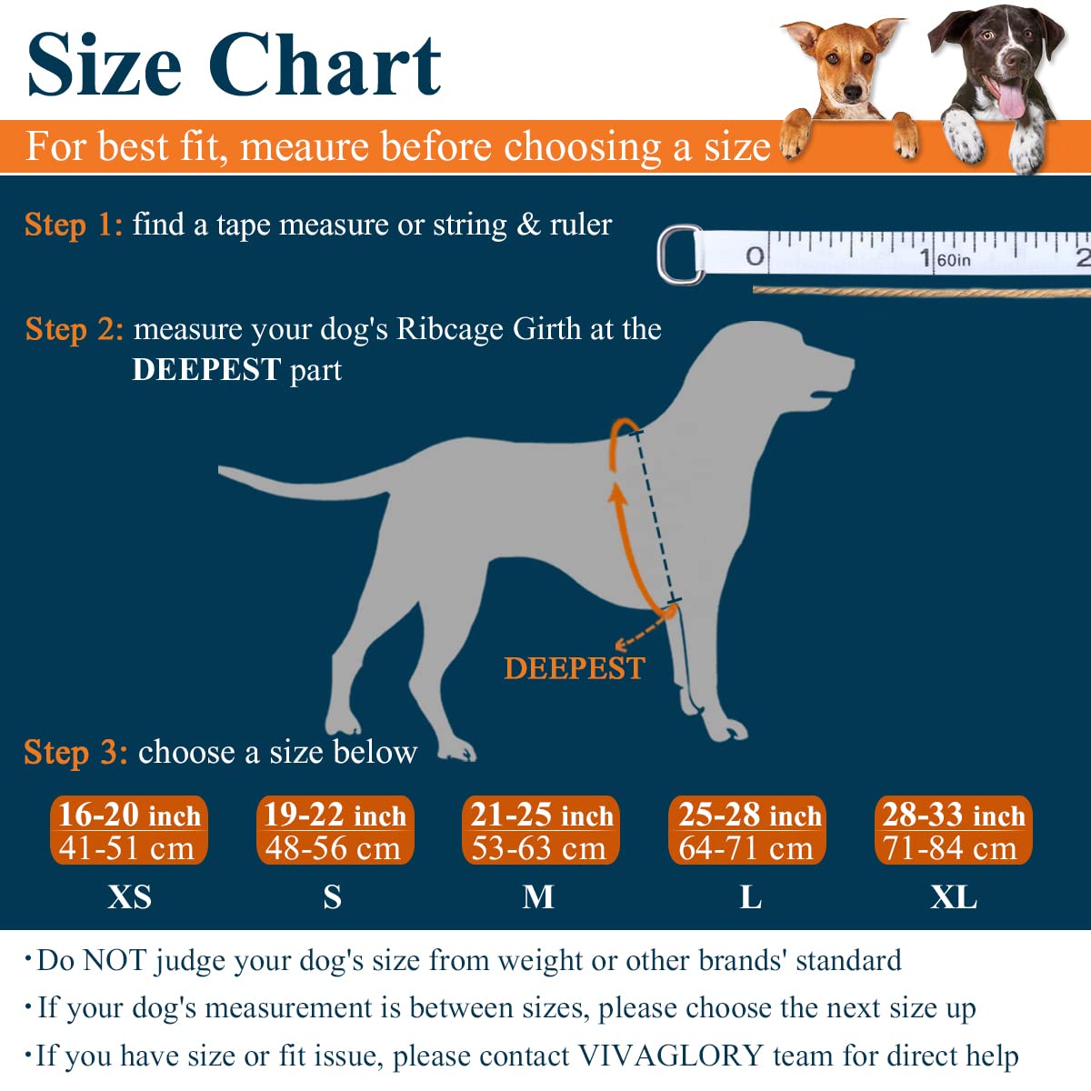 VIVAGLORY Lightweight Dog Life Jacket, Pet Life Preserver Life Vest Skin-Friendly Neoprene for Puppy Small Dogs with D-ring and Quick Release Buckle, Blue