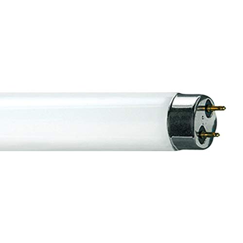 Sylvania 4 ft. 32-Watt Linear T8 Fluorescent Tube Light Bulb, Daylight (1-Bulb), Frosted